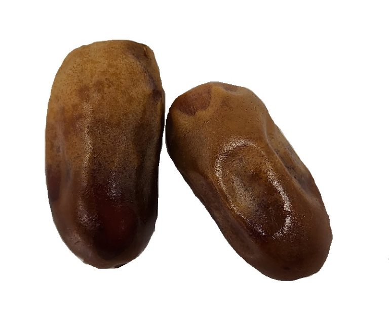 Thoory Dates – Shields Date Garden